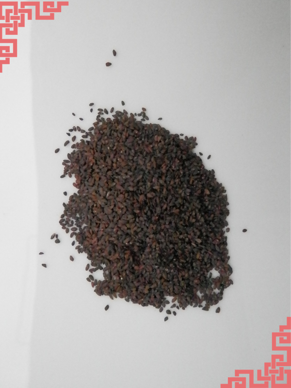 CHE QIAN ZI (SEMEN PLANTAGINIS) - Oriental Med PharmaShop