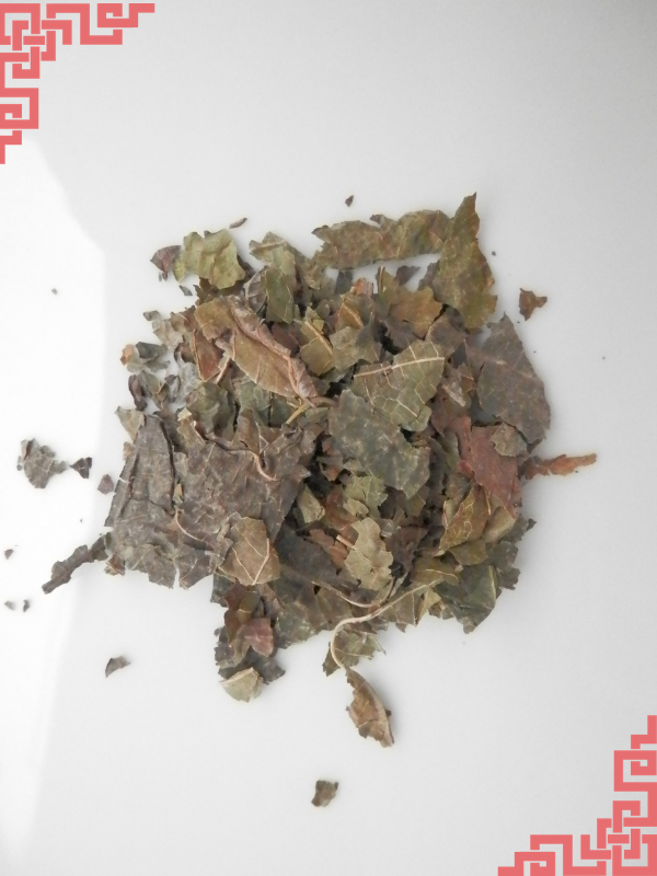 SANG YE (FOLIUM MORI) - Oriental Med PharmaShop